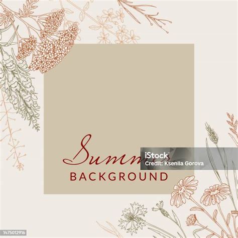 초원 꽃 소셜 미디어 광장 게시물 템플릿입니다 손으로 그린 들판 야생화 경계 스케치 스타일의 벡터 그림입니다 미적 식물학 디자인 화단에 대한 스톡 벡터 아트 및 기타 이미지