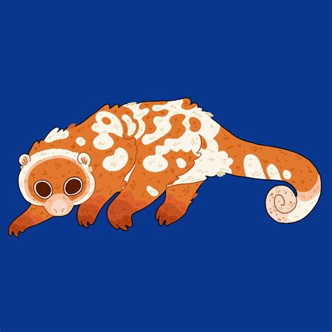 Common Spotted Cuscus Spilocuscus Maculatus White Cuscus Marsupial