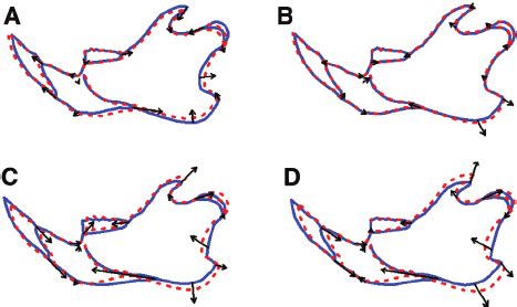 Effect Of Sex Species And Size On Shape Based On The Multivariate Download Scientific Diagram