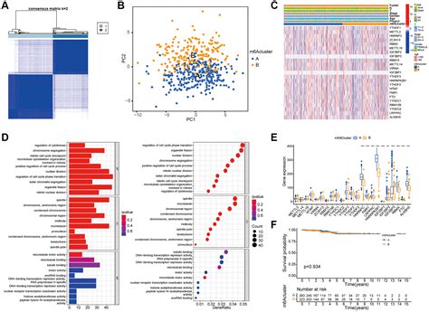 Thyroid Cancer Risk Prediction Model Using M6a Rna Methylation Regulators Integrated