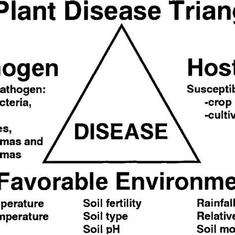A Host Pathogen And Favorable Environment Are Required For The