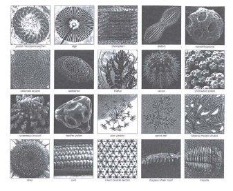 Complexity And Chaos Theory In Art Chaos Theory Nature Inspiration Chaos