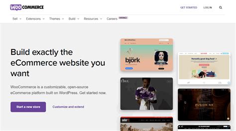 Html Vs Wordpress Website Which Is Right For You