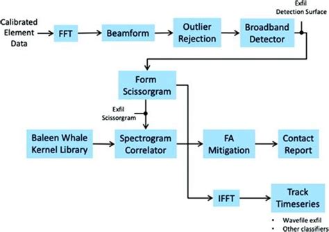 A Wave Glider Based Towed Hydrophone Array System For Autonomous Real