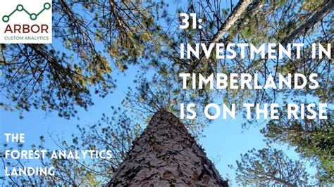 Arbor Custom Analytics On Linkedin Timberlands