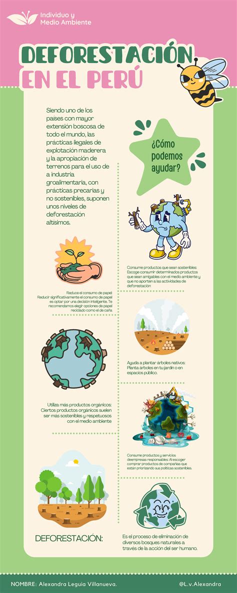 Infografía Deforestación En El Perú 20240615 223741 0000