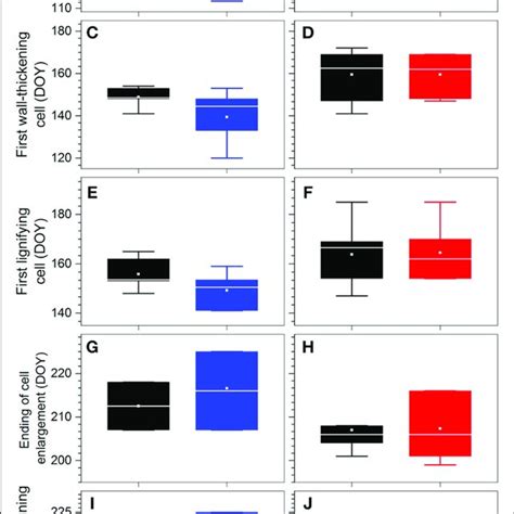 Timings Of Xylem Differentiation Of Each Species Boxes Represent Download Scientific Diagram