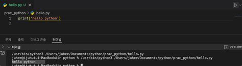 python python 설치하기 VSC에서 실행하기