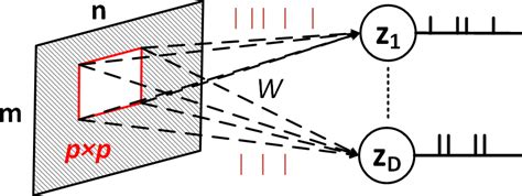 Figure 1 From Representation Learning Using Event Based Stdp Semantic