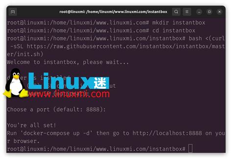Instantbox 可让您在 Web 浏览器中即时访问 Linux 发行版 Linux迷