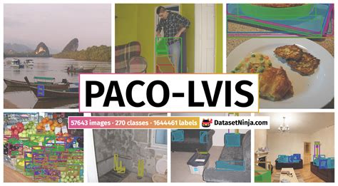 paco lvis dataset ninja
