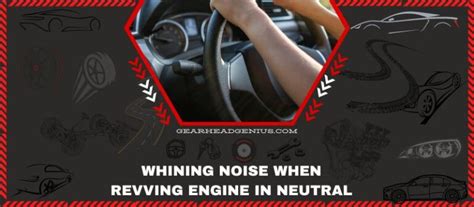 Whining Noise When Revving Engine In Neutral (Solved!)