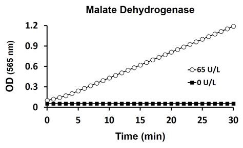 Malate Dehydrogenase Activity Assay Kit Colorimetric Arg82179
