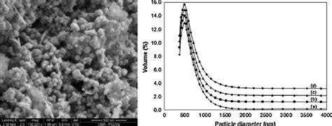 A Scanning Electron Microscopy Image And B Particle Size