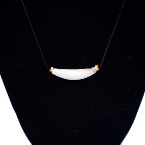 Mini Giant Clam Shell Sinahi — Leilanis Attic