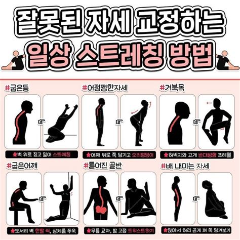 잘못된 자세 교정하는 직빵 스트레칭 동작 총정리 유연성 운동 허리 운동 간단한 운동