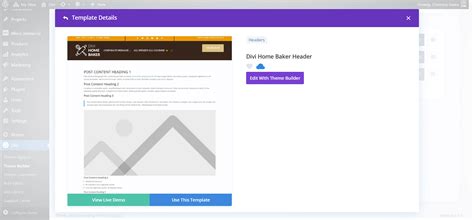 How To Edit A Template In Divis Theme Builder Library Ask The Egghead Inc