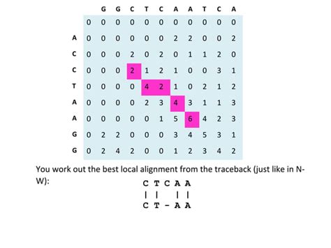 The Smith Waterman Algorithm Ppt