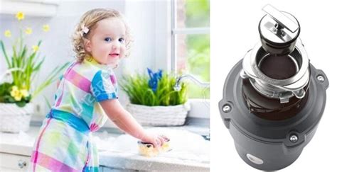 Insinkerator Evolution Conver Control Plus Review In 2022