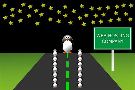 What Is Shared Web Hosting Standfast Creative