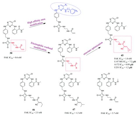 Discovery Of Reversible Valence Fak Inhibitors Compound 30 And