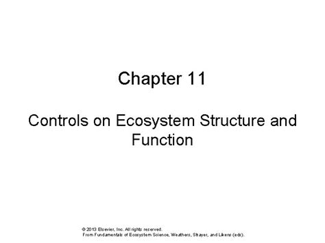 Chapter Controls On Ecosystem Structure And Function