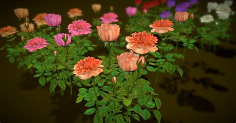 Flower Rose Juliet 3d Flowers Unity Asset Store