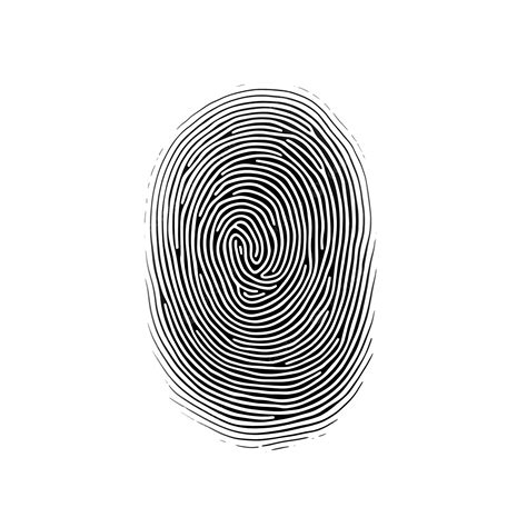 3d Illustration Fingerprint Technology Security Digital Png