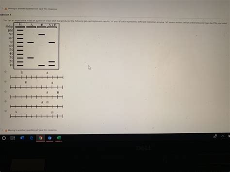 Solved You Ran An Experiment In Lab On A Piece Of Linear Dna
