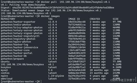 构建个人网盘与私有仓库：docker实战教程 Csdn博客