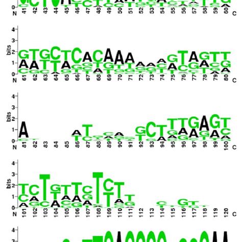 A Sequence Logo Showing A Consensus Sequence Generated From Multiple Download Scientific
