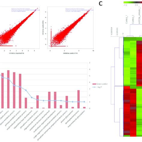 Experimental Strategy For Comparative Transcriptome Analysis A Download Scientific Diagram