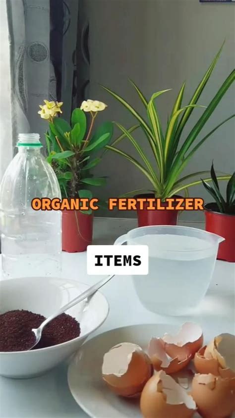 Natural Fertilizer Artofit