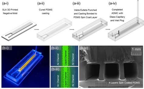 Dynamics Of Fluid Structure Interaction Studied Using Microfluidics