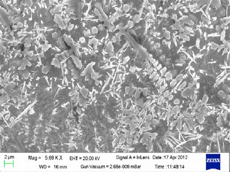 Coating Microstructure Revealed By Fesem From The Deeply Etched Laser