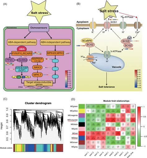Identification Of Differentially Expressed Genes Degs Associated With