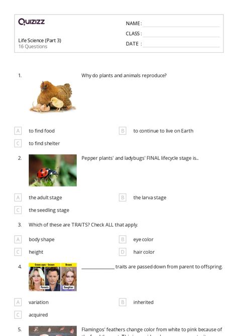 50 Science Worksheets For 3rd Grade On Quizizz Free And Printable