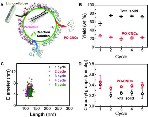 Recyclable Isolation Of Po Cncs From Mcc A Schematic Representation Download Scientific