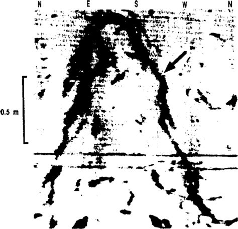 Borehole Imaging Devices Aapg Wiki