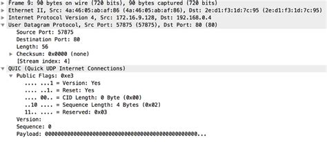 A Figure Showing The Contents Of A Quic Udp Packet Download A Figure Showing The Contents Of A Quic Udp Packet Download