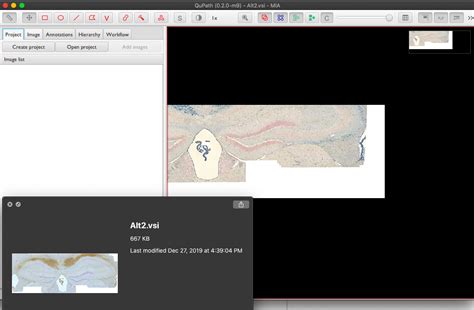 importing a vsi composite image in imagej via bioformats plugin how