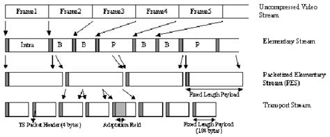 Mpeg 2 Standard Packetization Download Scientific Diagram