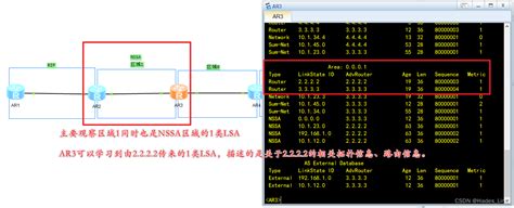 路由 ospf lsa介绍、1~7类lsa详细介绍 ospf lsa类型详解 csdn博客