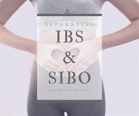 Ibs Vs Sibo — The Lamp And Leaf Holistic