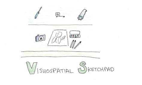 Hello Is There Any Scientific Way To Improve The Visuo Spatial Sketchpad R Psychology