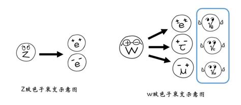 高能物理分会