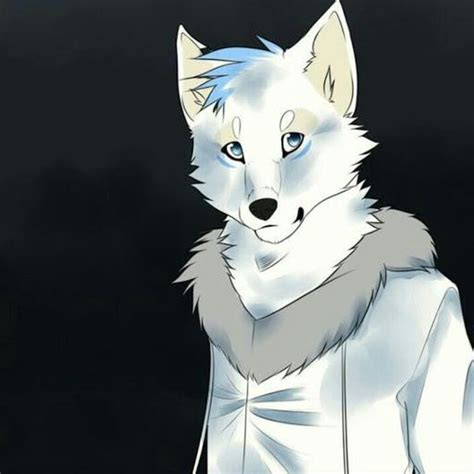 Polls | Фури[RUS] Amino