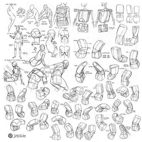 Pin By 皮皮仔 On Practice Human Anatomy Art Anatomy Art Human Anatomy