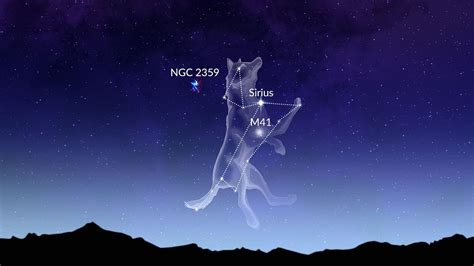 Constellations Canis Major