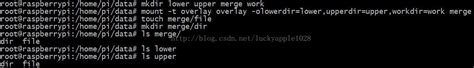 深入理解overlayfs（二）：使用与原理分析 csdn博客